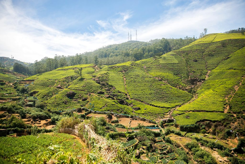 Nuwara Eliya; A Highland Haven in Sri Lanka - Ceylonka Travels